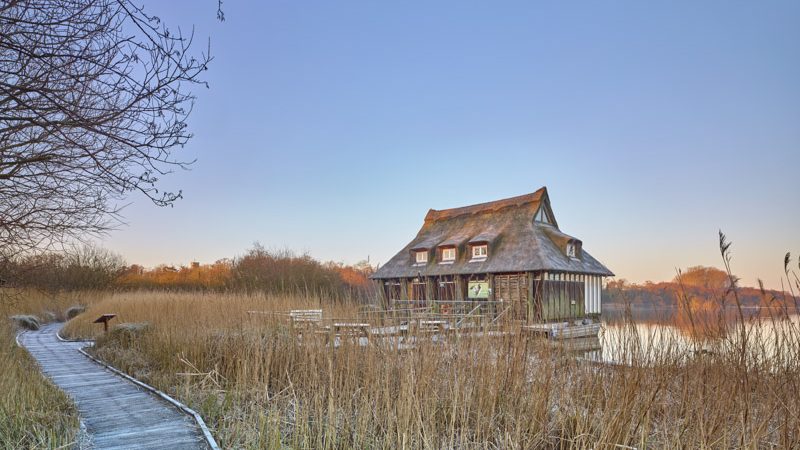 Wildlife on the Broads | Herbert Woods