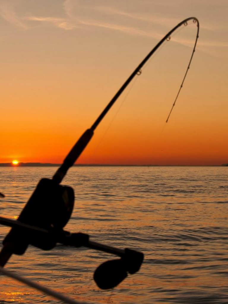 Fishing Holidays & Angling in G. Yarmouth - A Guide