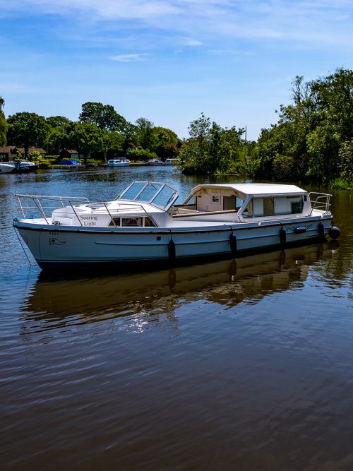 Soaring Light - Herbert Woods