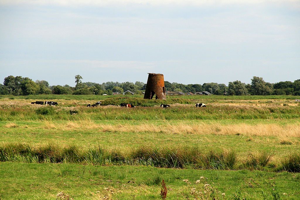 Ludham Marshes Circular Walk | Herbert Woods