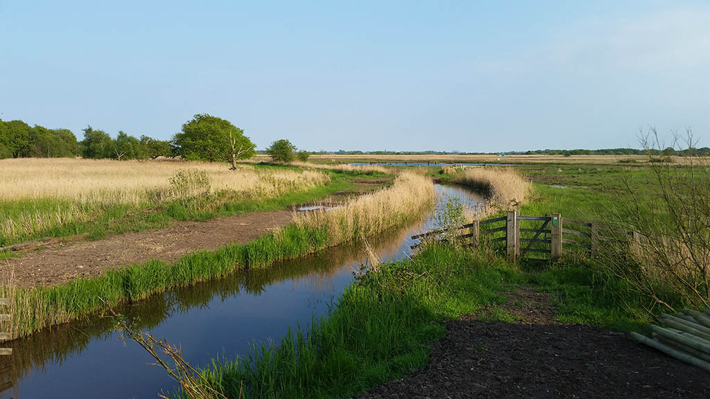 Hickling Circular Walk | Herbert Woods
