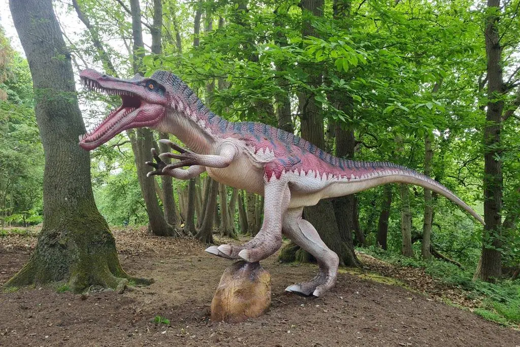 Family Days Out & Kid's Activities in Norwich | Herbert Woods