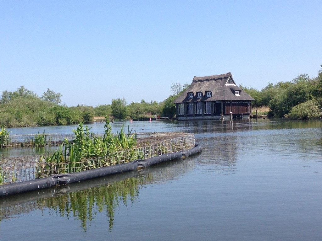 New and Improved Visitor Experience at Ranworth Broad | Herbert Woods