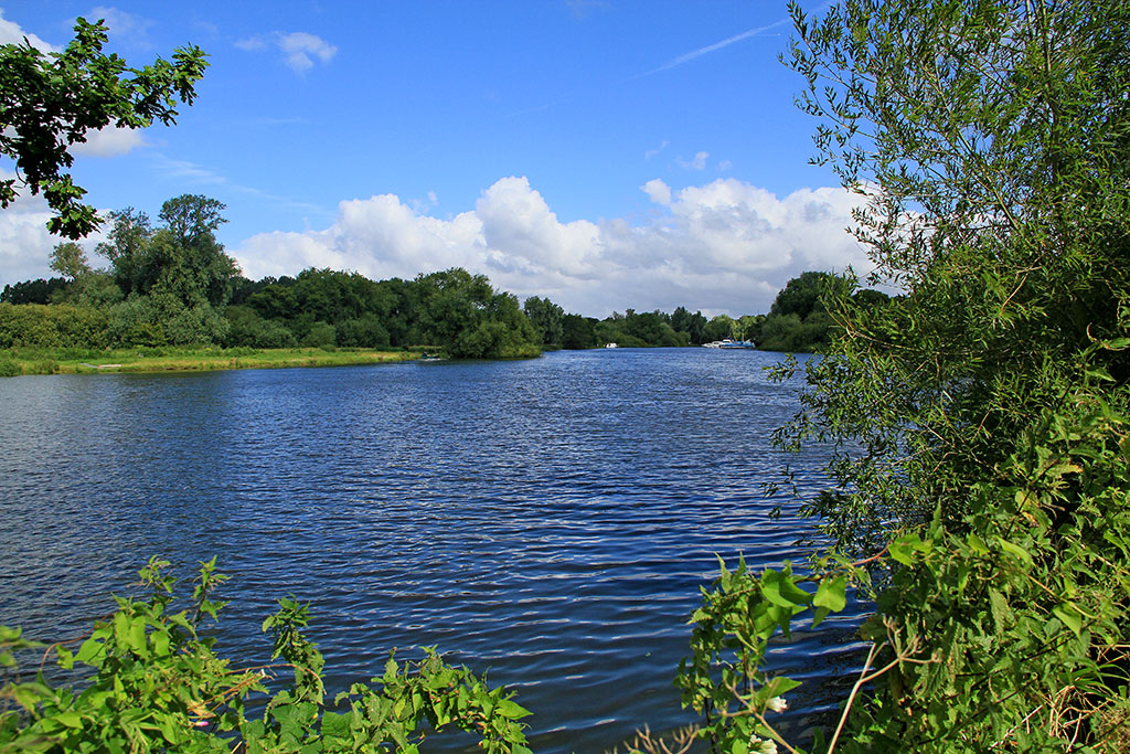 Circular Walk around Surlingham | Herbert Woods