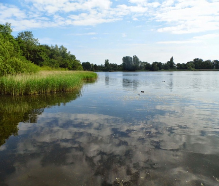 Fishing Holidays & Angling in G. Yarmouth - A Guide